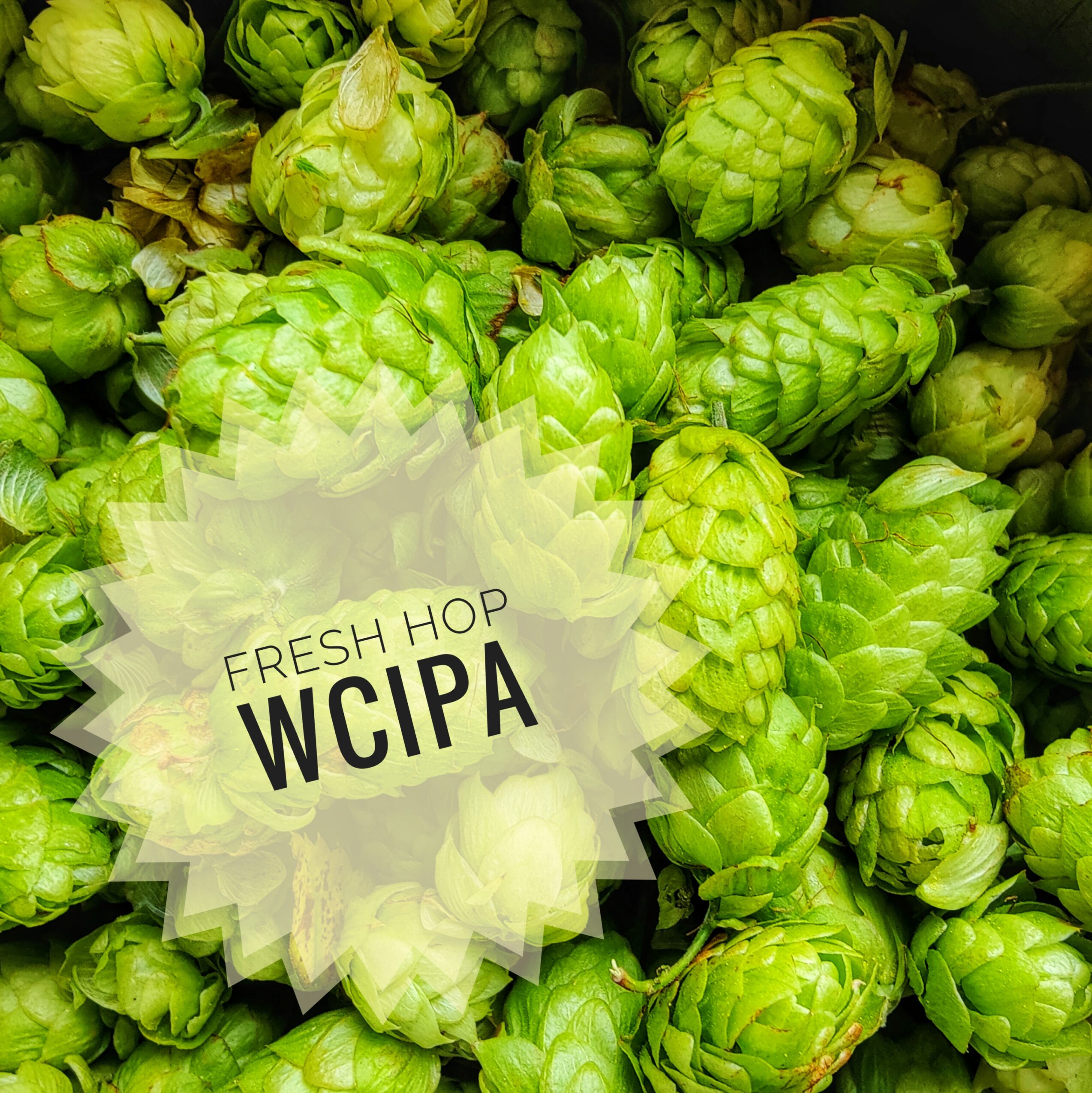 Fresh Hop West Coast IPA - Train Effect